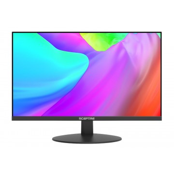 E248W-FPTD 24" LED Monitor