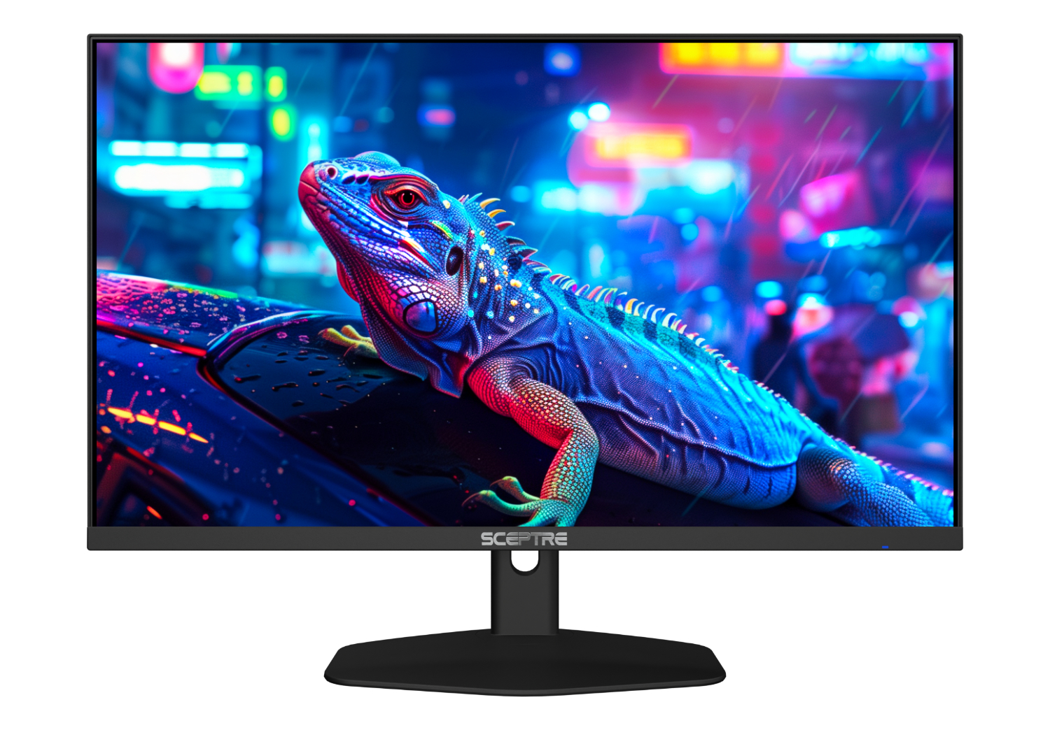E248W-FP100T 23.8" PRIME Full HD 100Hz IPS LED Monitor