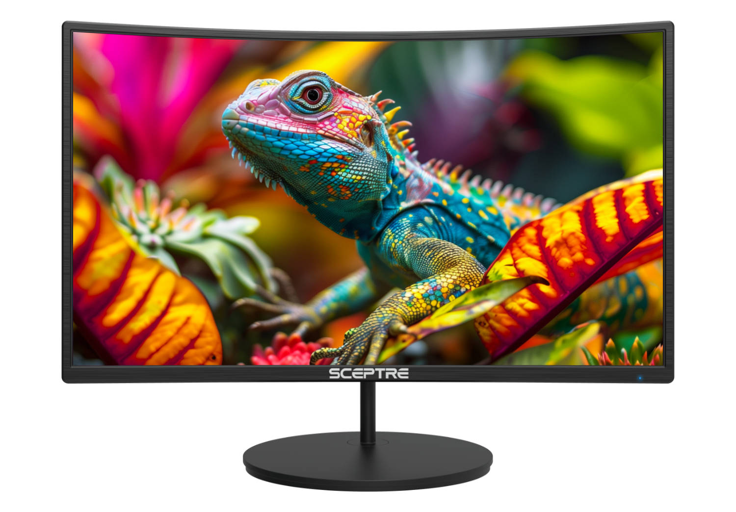 C248W-1920RNT1 24" Full HD 100Hz Essential Curved Office LED Monitor