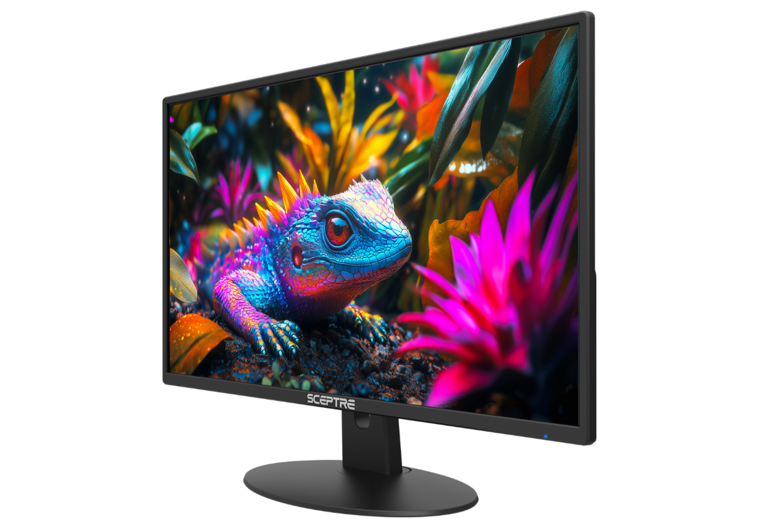 E248W-FW100TRD 24" Full HD 100Hz LED Gaming Monitor