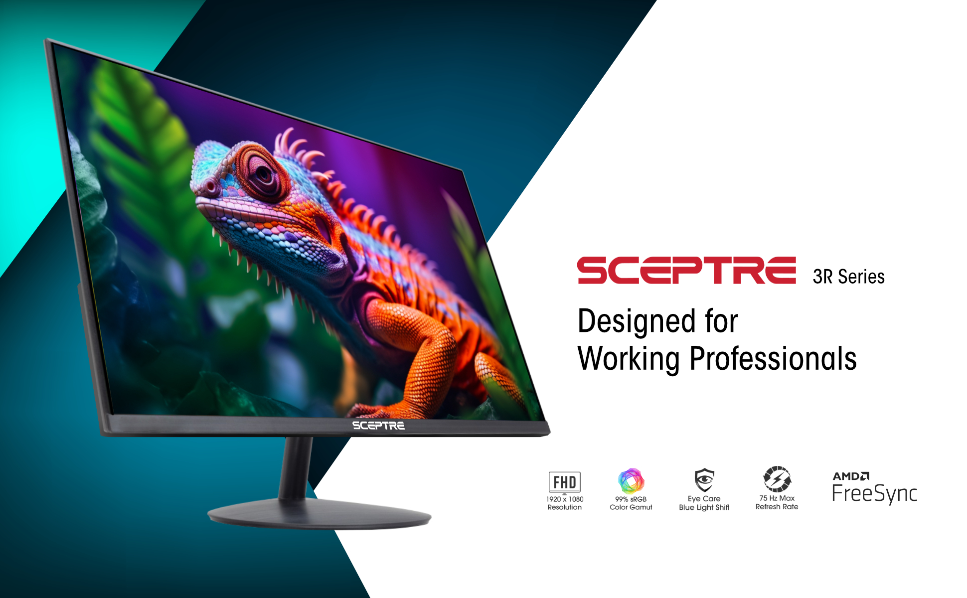 E248W-19203RS 24" LED Monitor