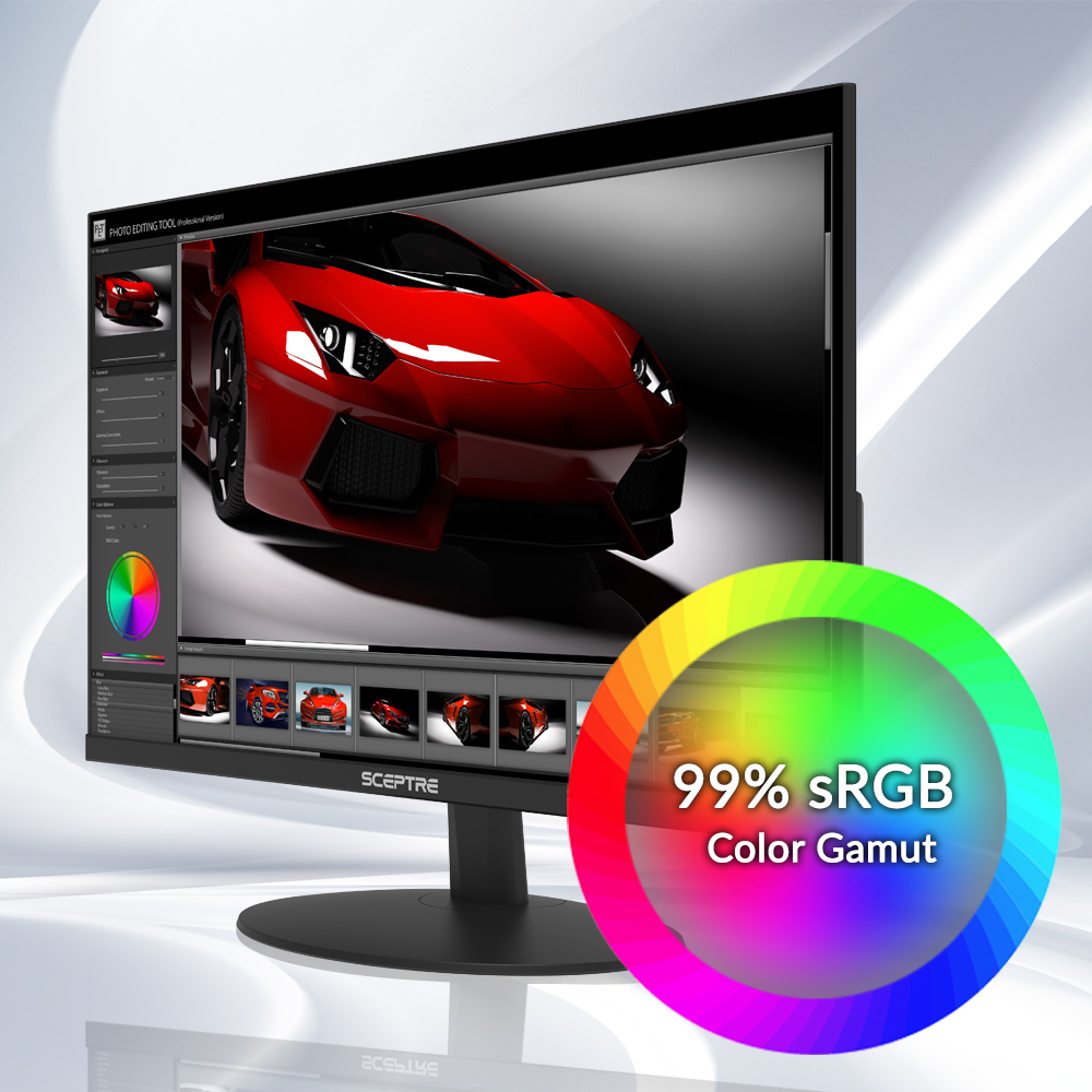 E248W-FPT 24" LED Monitor